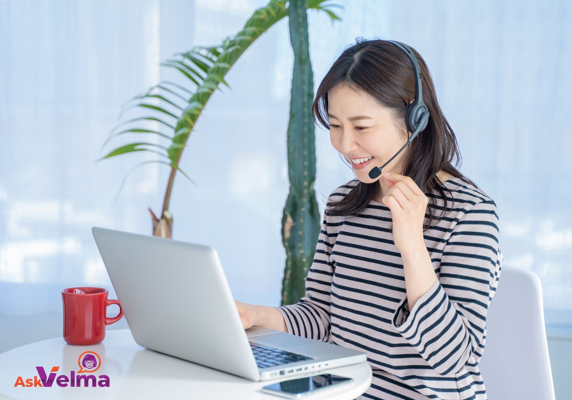 Services | Ask Velma